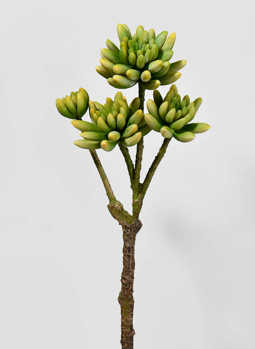 Finger Succulent Pink Artificial Plants Display Props – Jamali Garden